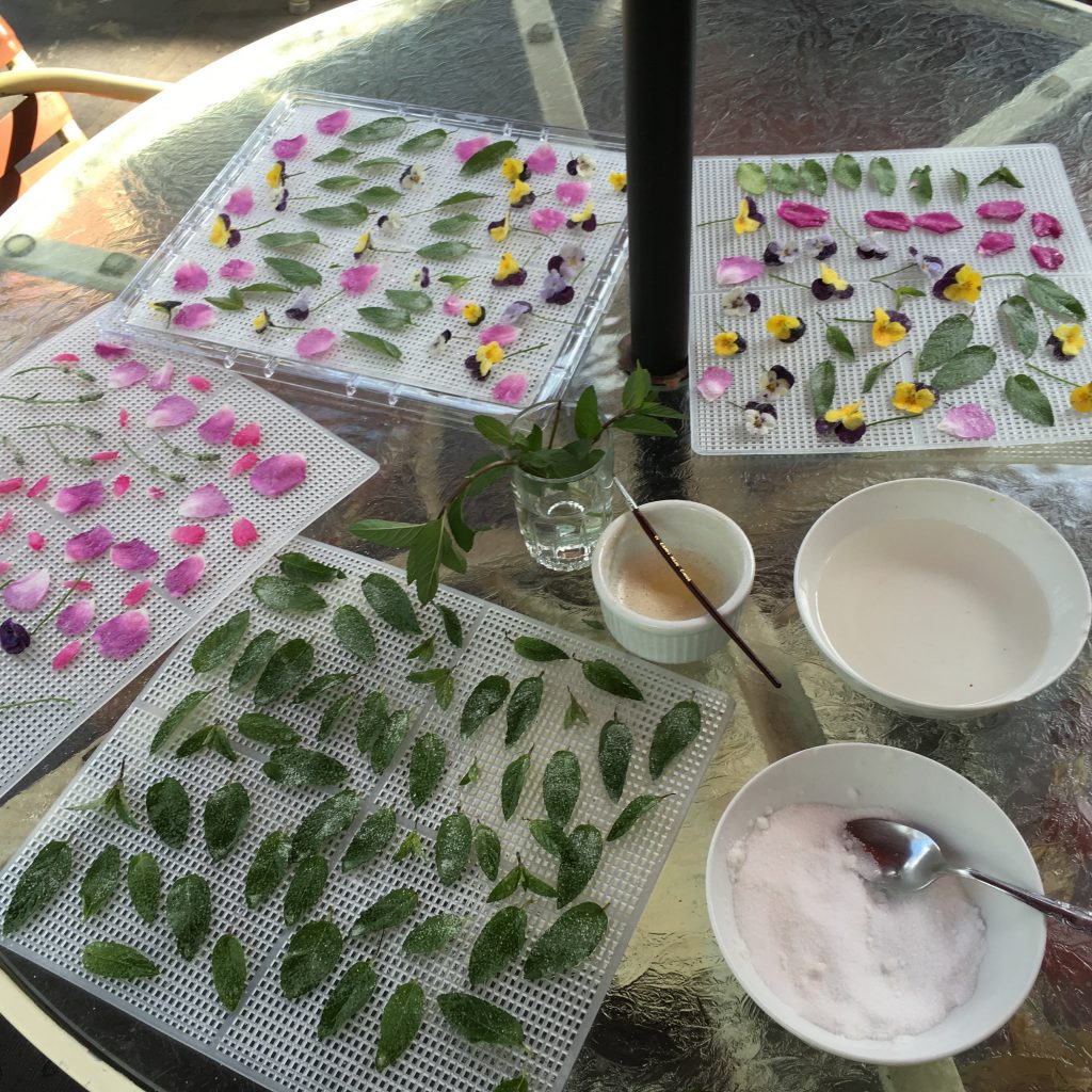 Crystallized Leaves and Flowers - DIY by Chrysalis Herbs